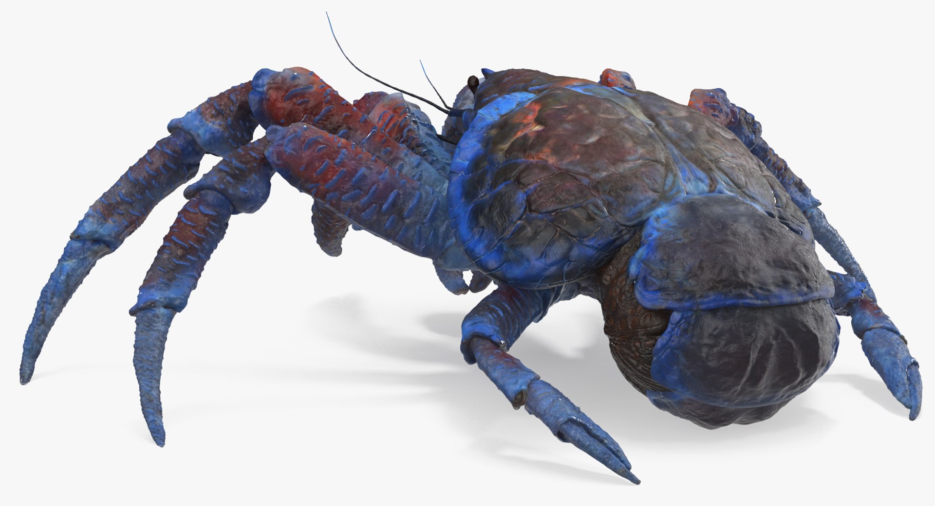 Palm Thief 3D Model - TurboSquid 1156729