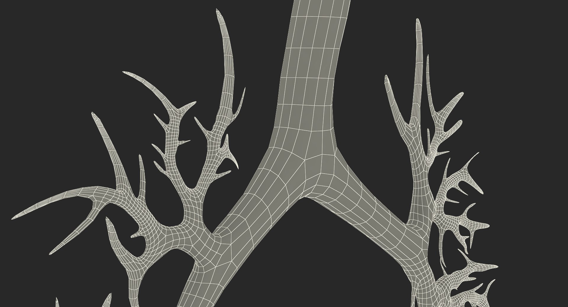 Trachea Anatomical Modeled 3D Model - TurboSquid 1209414