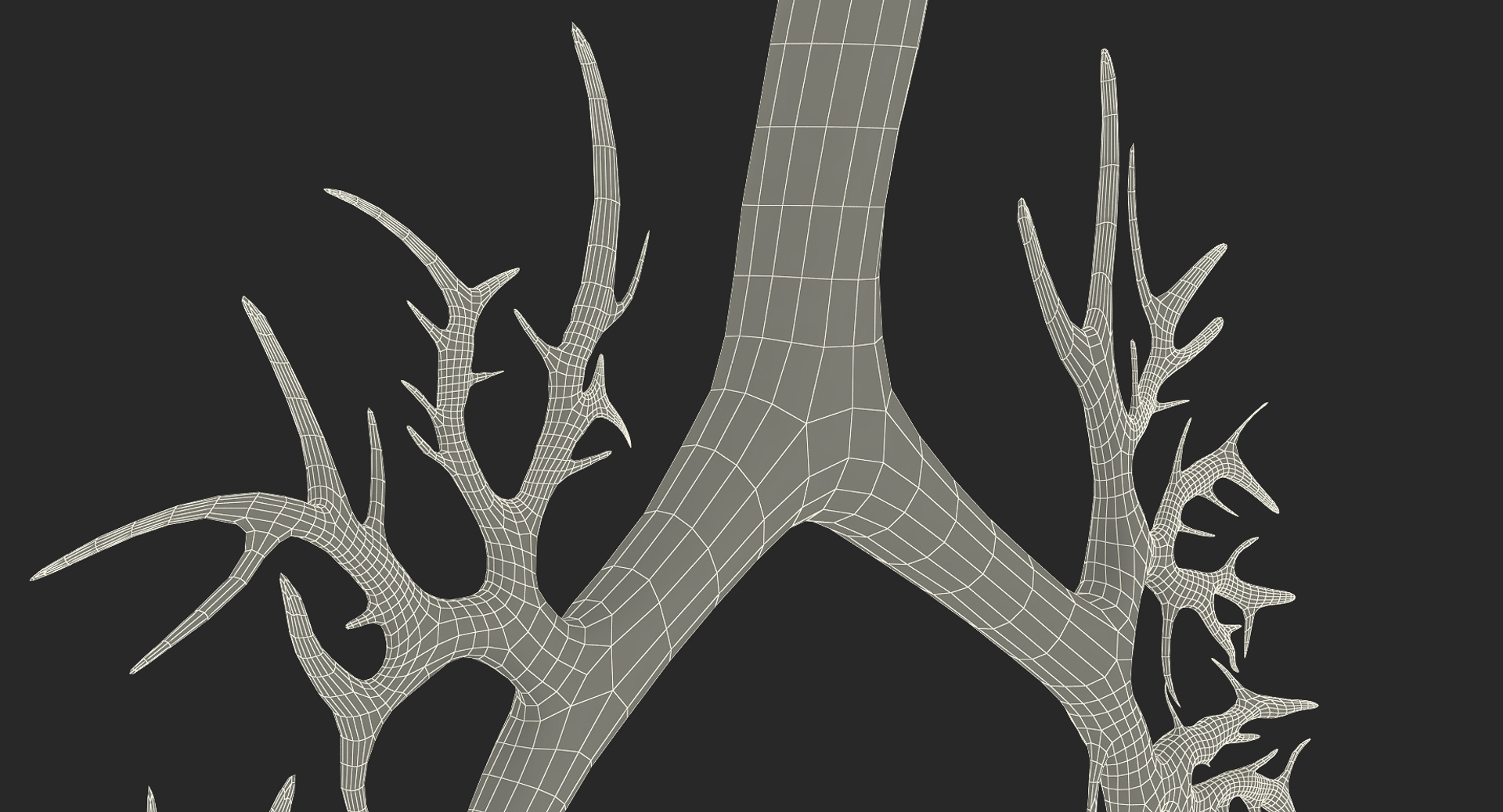 modelo 3d Modelo anatómico de la tráquea - TurboSquid 1209414