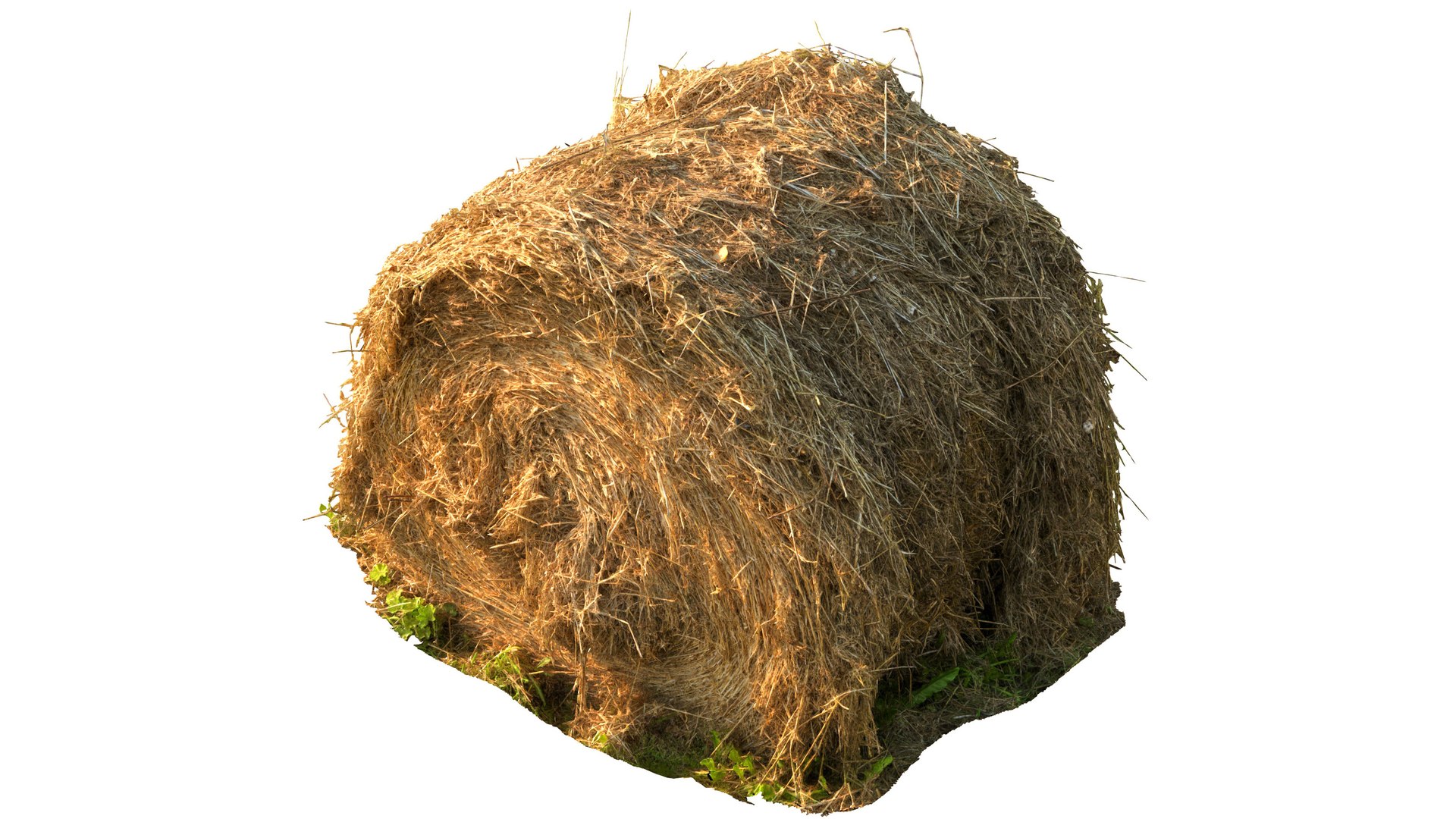 3D Model Round Bale Of Hay - TurboSquid 2119096