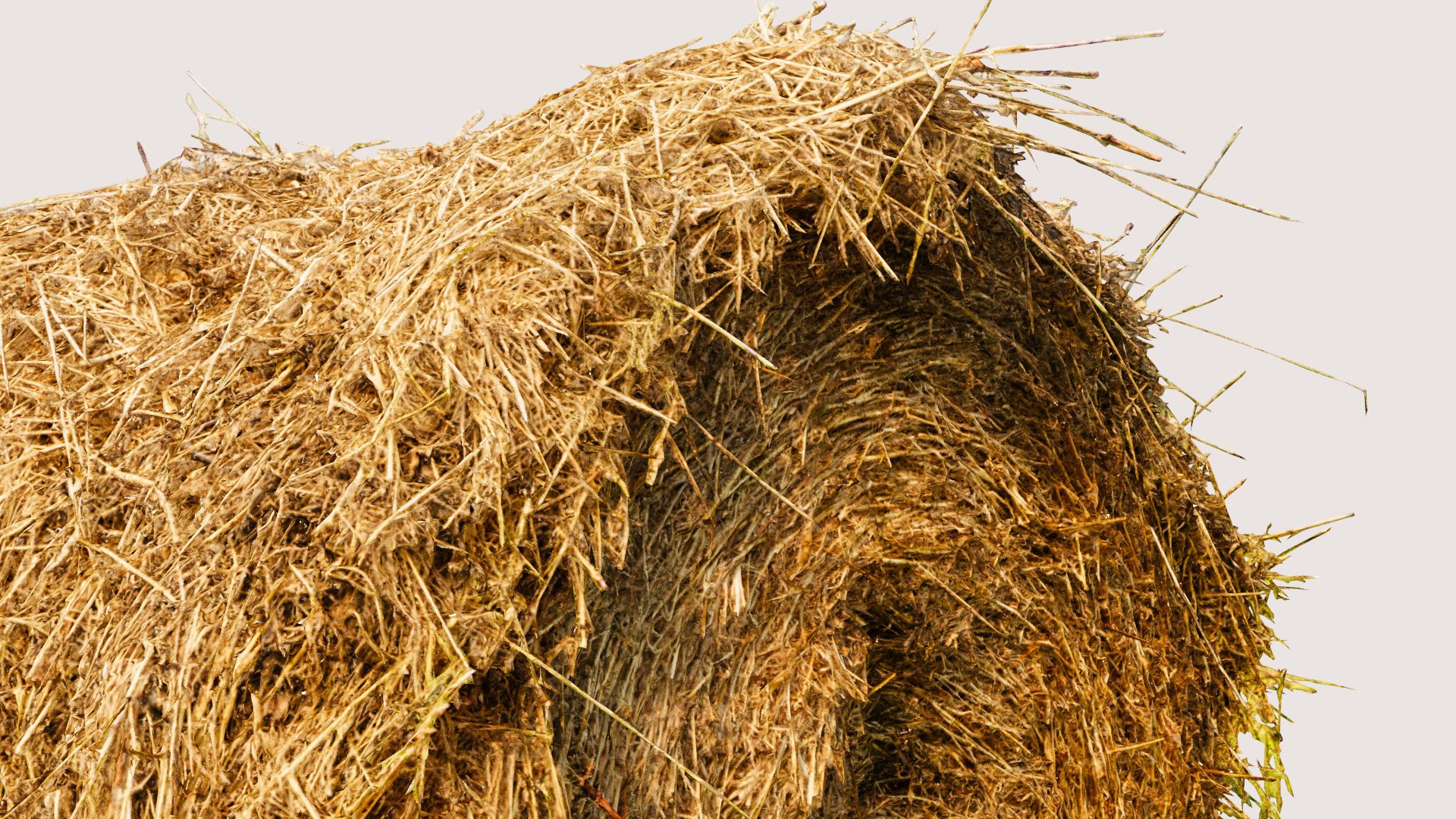 3D Model Round Bale Of Hay - TurboSquid 2119096