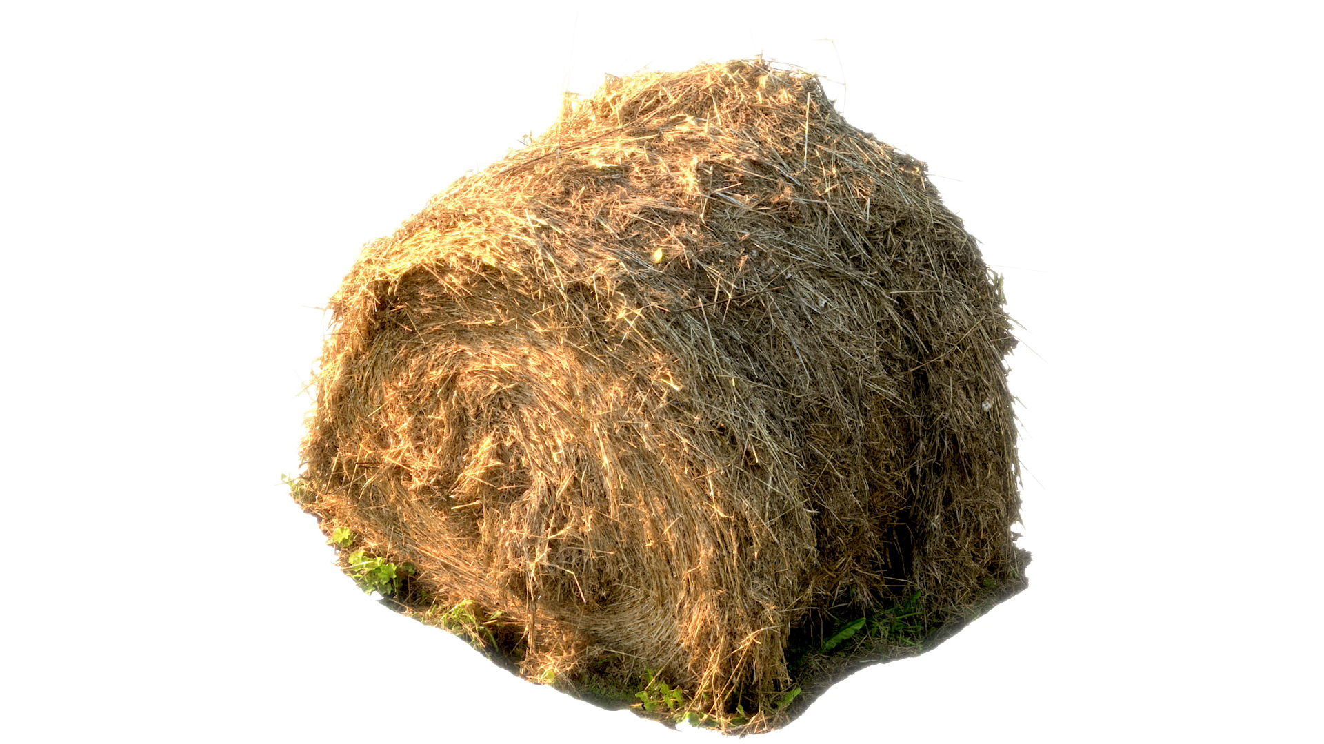 3D Model Round Bale Of Hay - TurboSquid 2119096