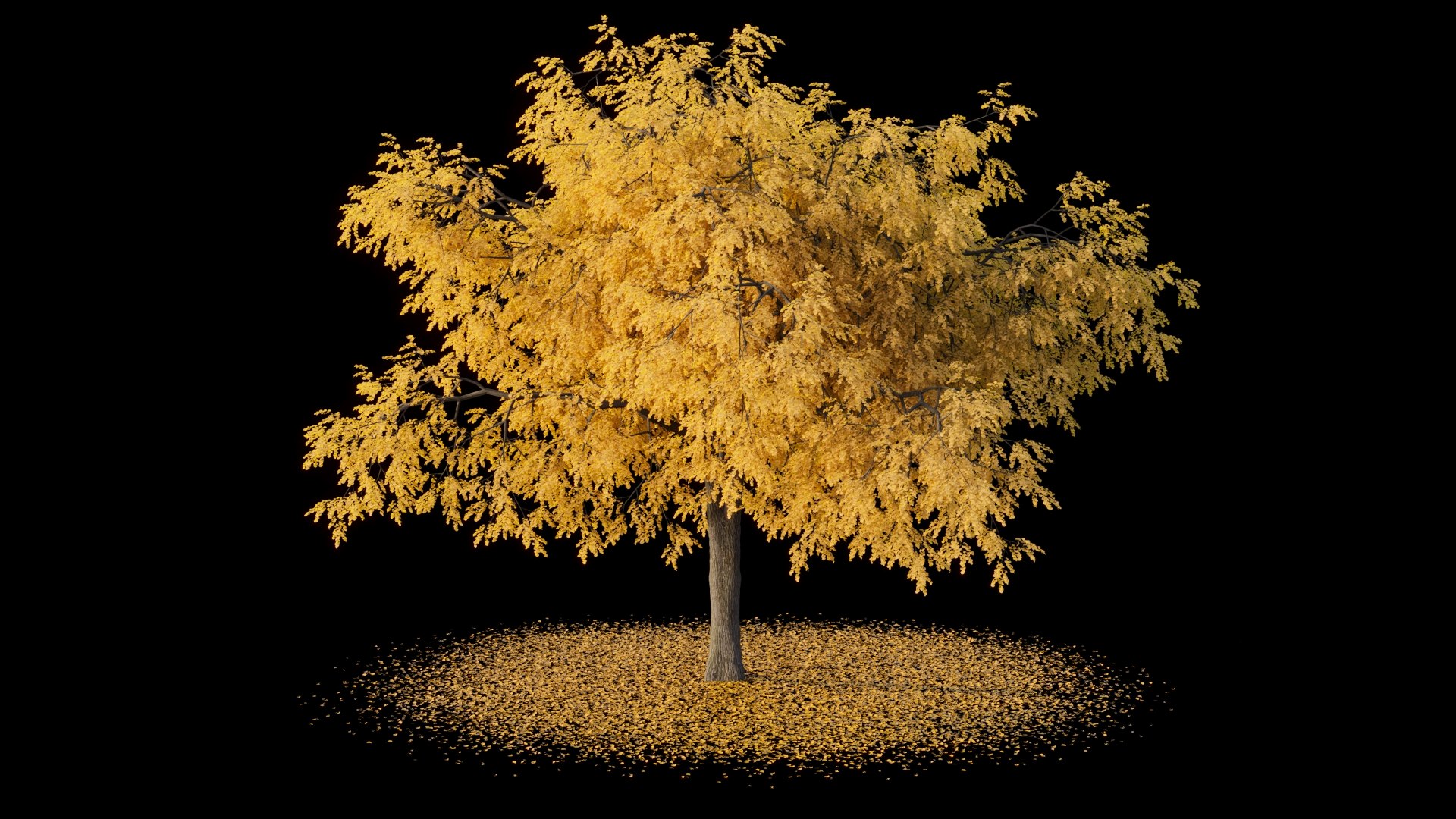 3D Gingko - TurboSquid 1881042