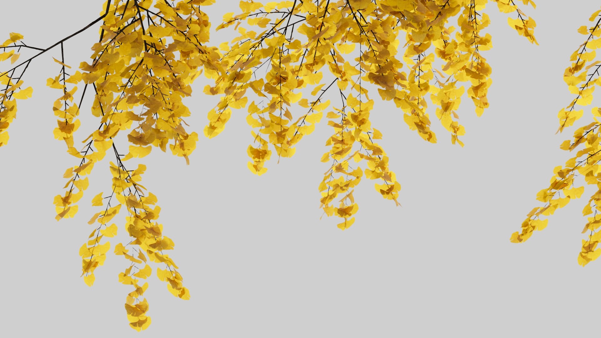 3D Gingko - TurboSquid 1881042