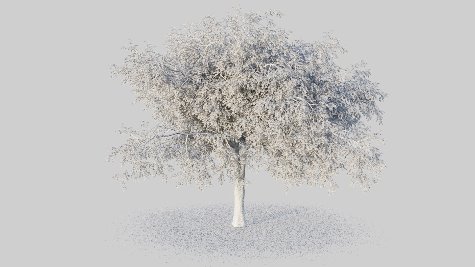 3D Gingko - TurboSquid 1881042