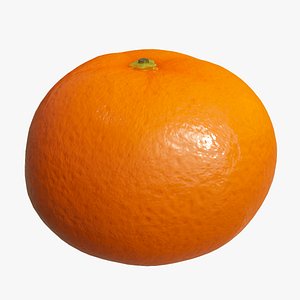Tangerine 3D Models for Download | TurboSquid