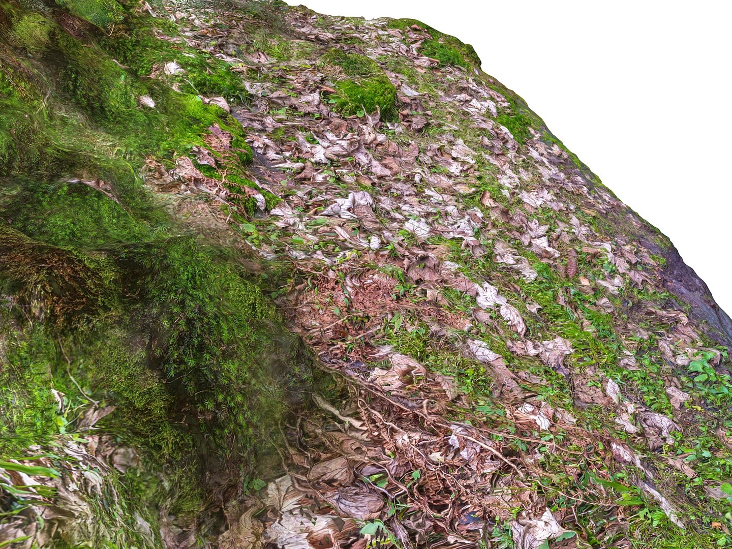 Moss Rock 8k 3D Model - TurboSquid 1179742