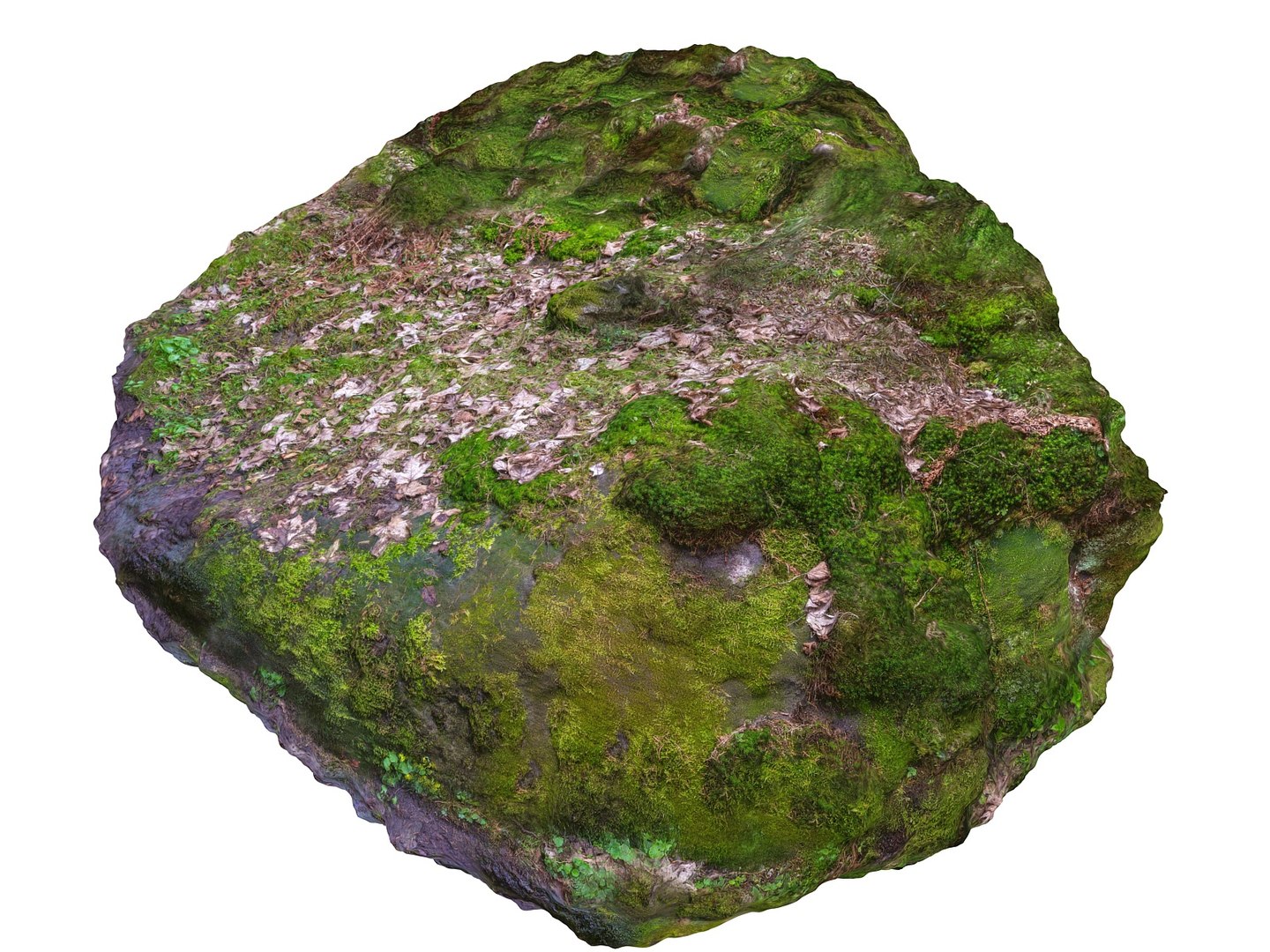 Moss Rock 8k 3D Model - TurboSquid 1179742