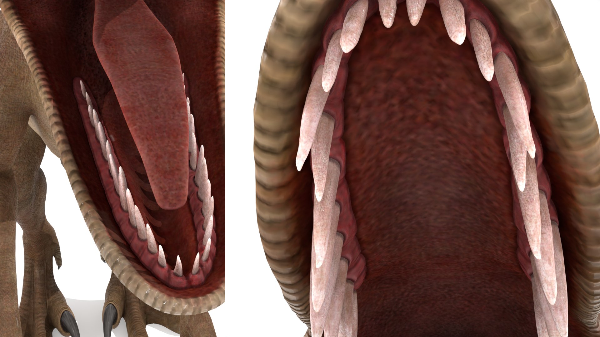 3D Raptor - TurboSquid 2106725