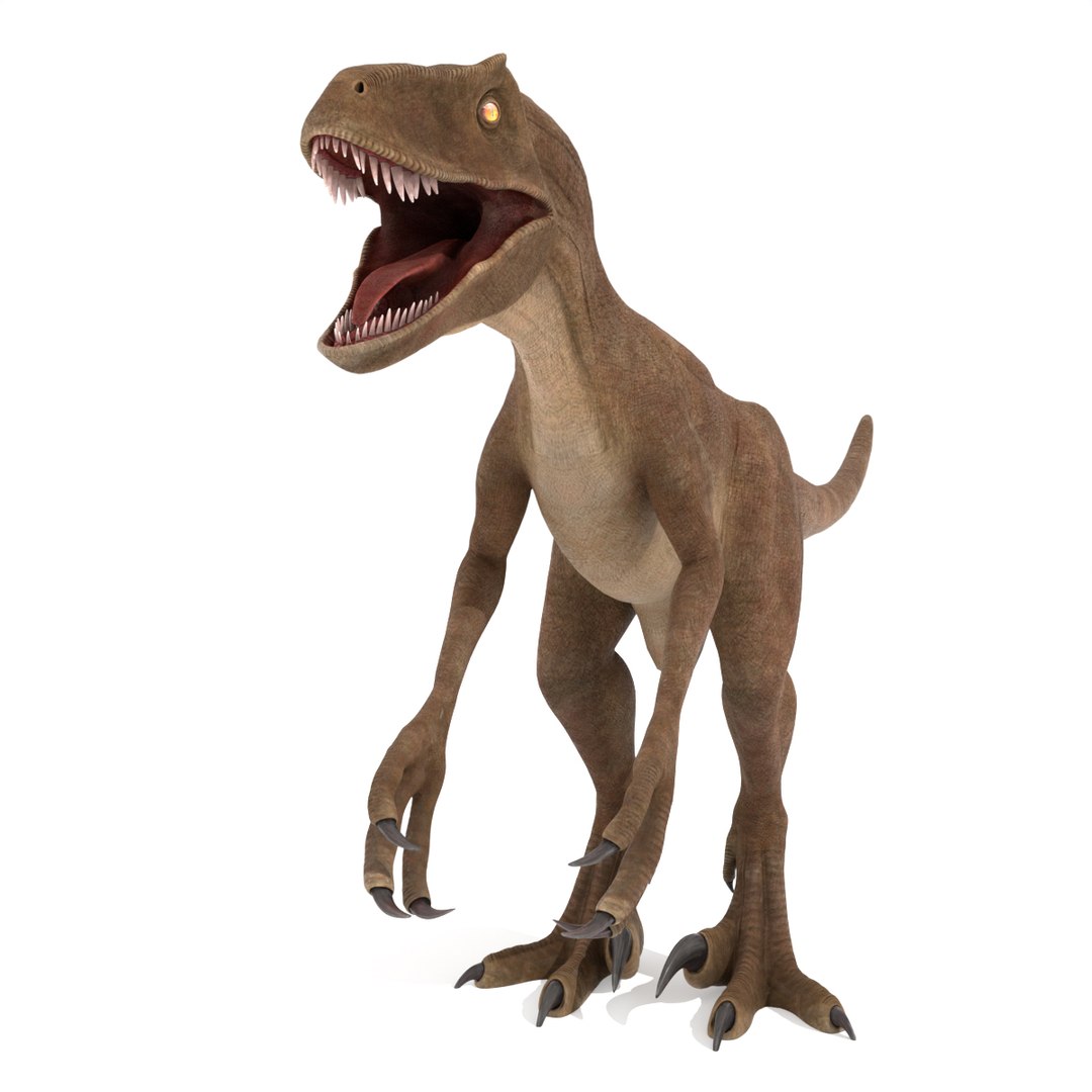 3D Raptor - TurboSquid 2106725