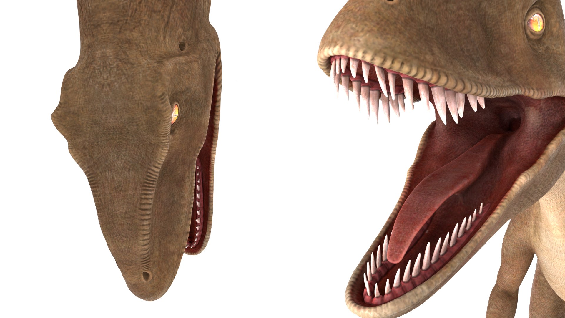 3D Raptor - TurboSquid 2106725