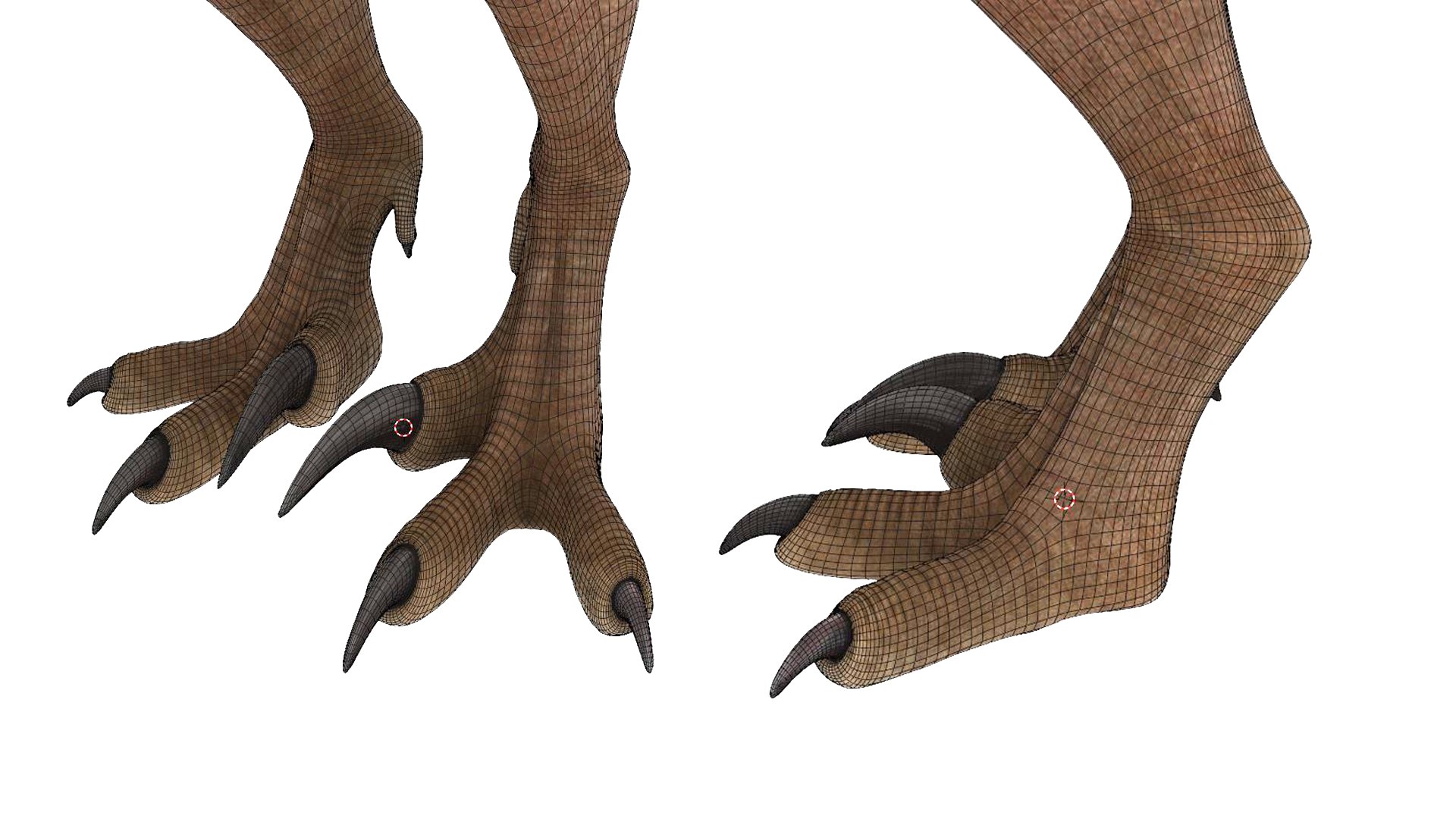 3D Raptor - TurboSquid 2106725