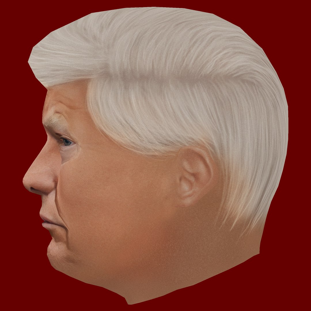 Low Poly Head Of The President - Donald Trump Model - TurboSquid 2206355