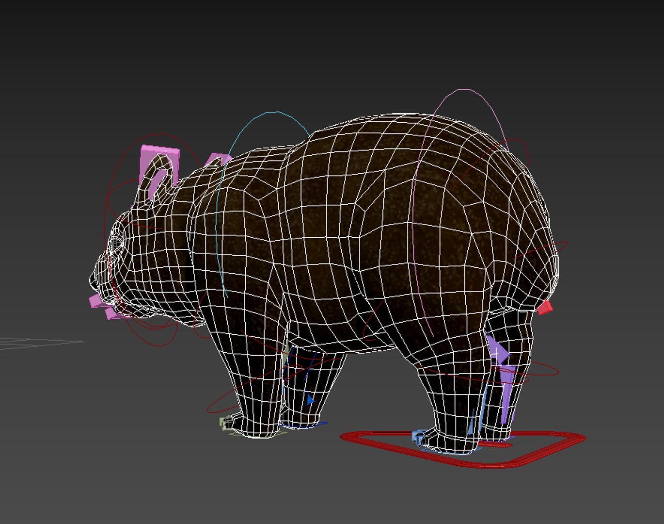 Wombat Low-poly 3D Model - TurboSquid 1463113