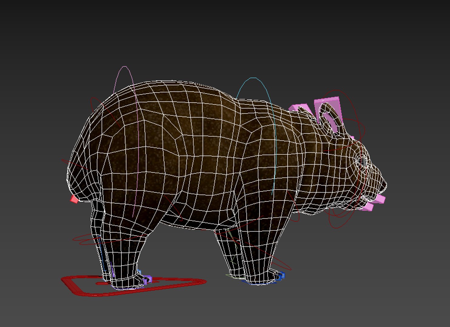 Wombat Low-poly 3D Model - TurboSquid 1463113