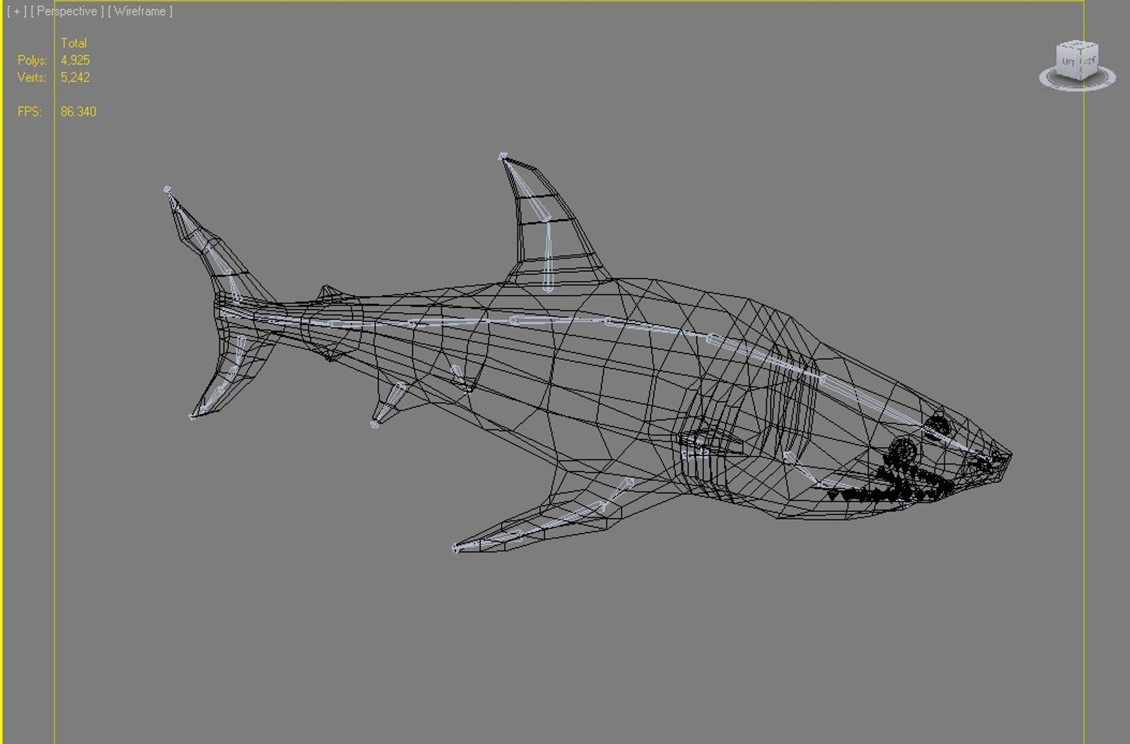 3d Shark