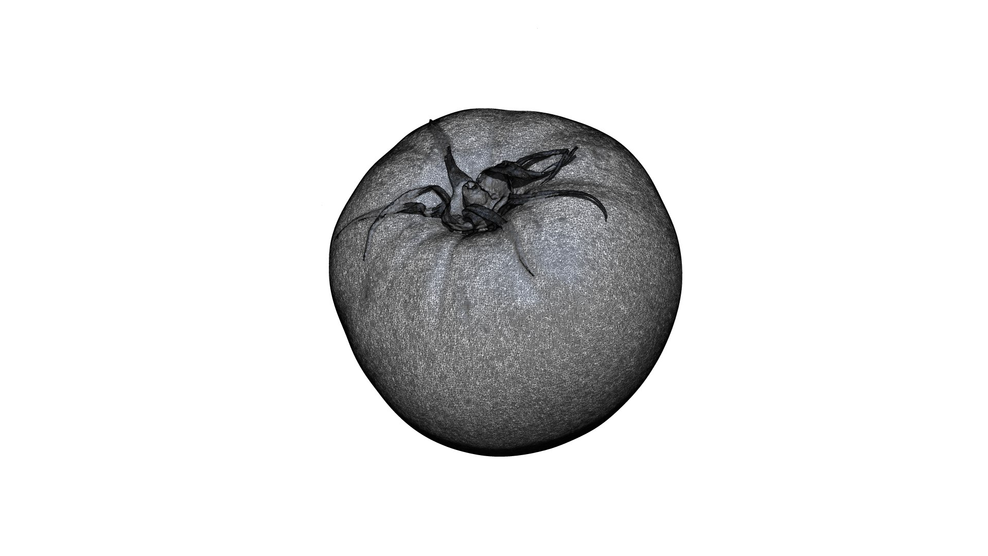 Tomato 3D CT Scan Model Decimate 50 Percent 3D Model - TurboSquid 1908515