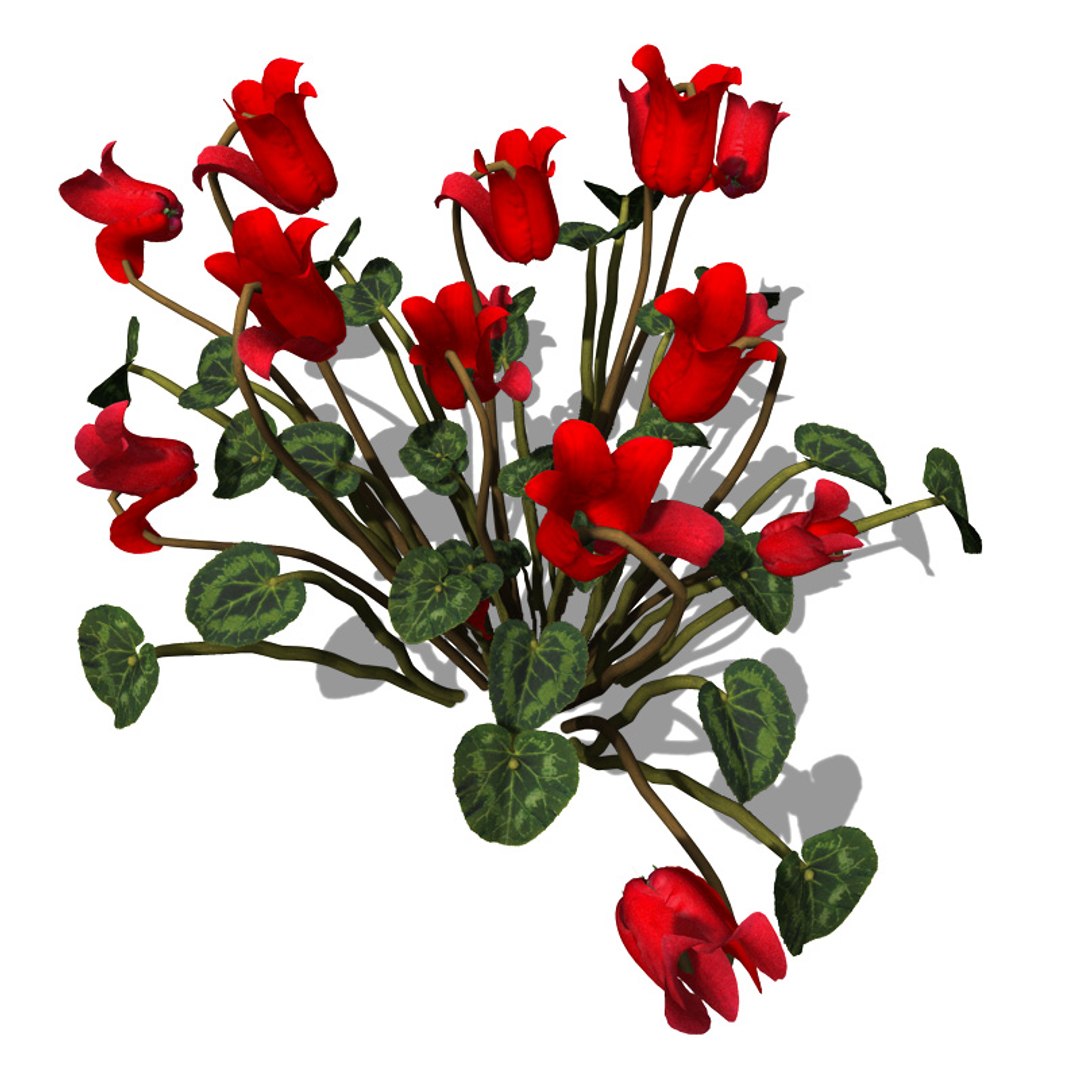 3ds Max Flowers 1 Dvd Mixed