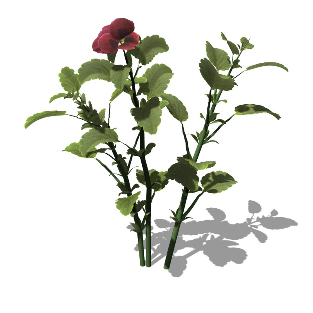 3ds Max Flowers 1 Dvd Mixed