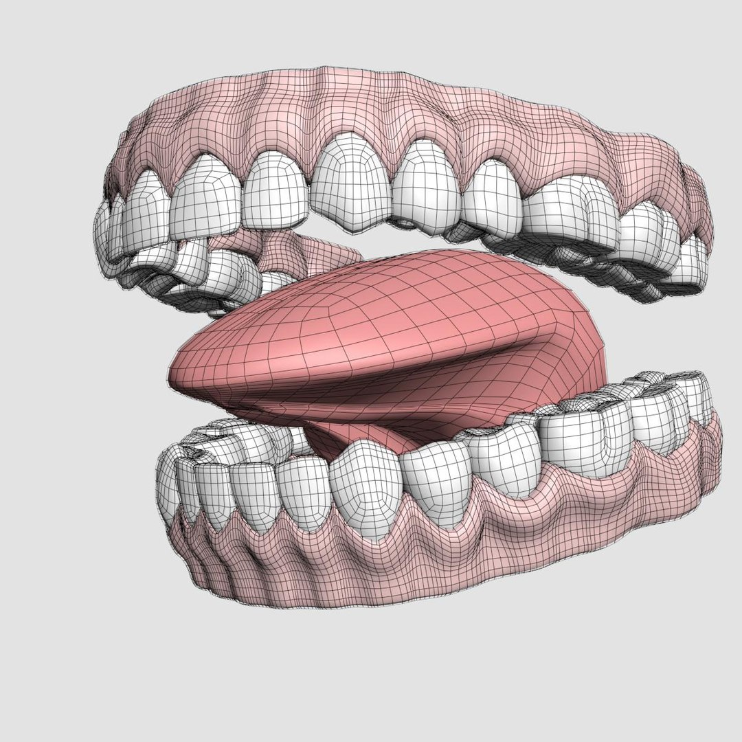 Mouth Teeth Model - TurboSquid 1166484