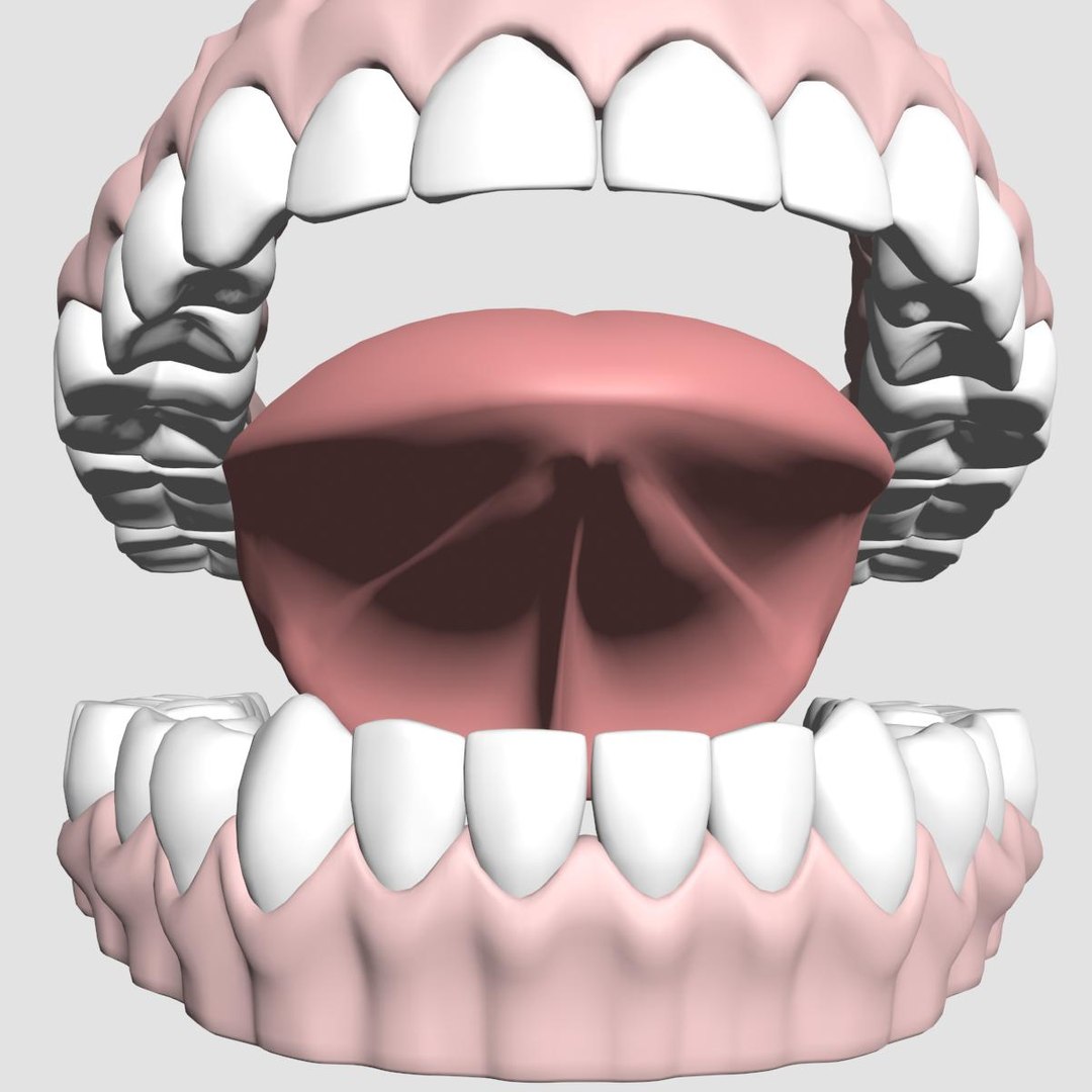 Mouth Teeth Model - TurboSquid 1166484