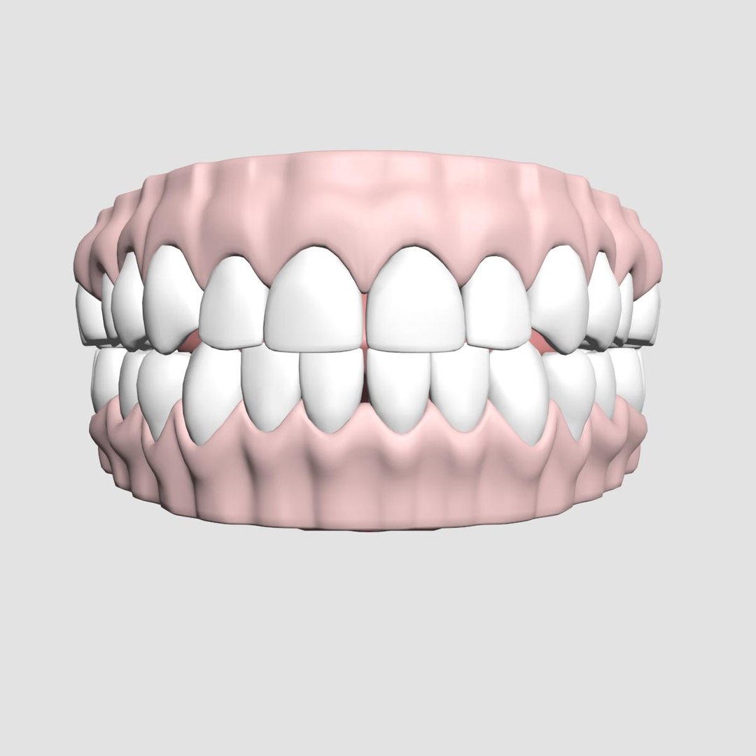 Mouth Teeth Model - TurboSquid 1166484