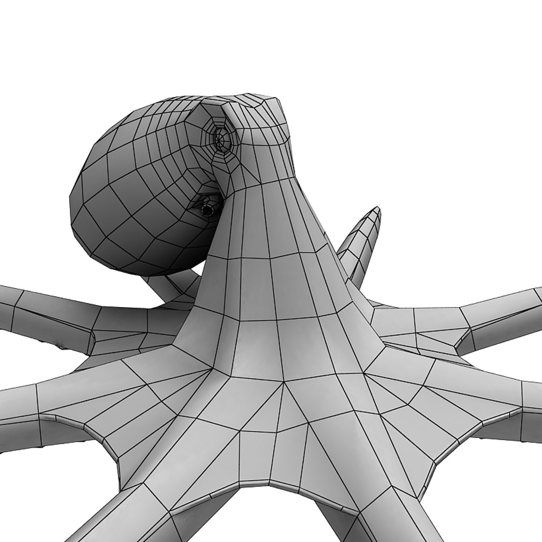 Octopus 3d Model