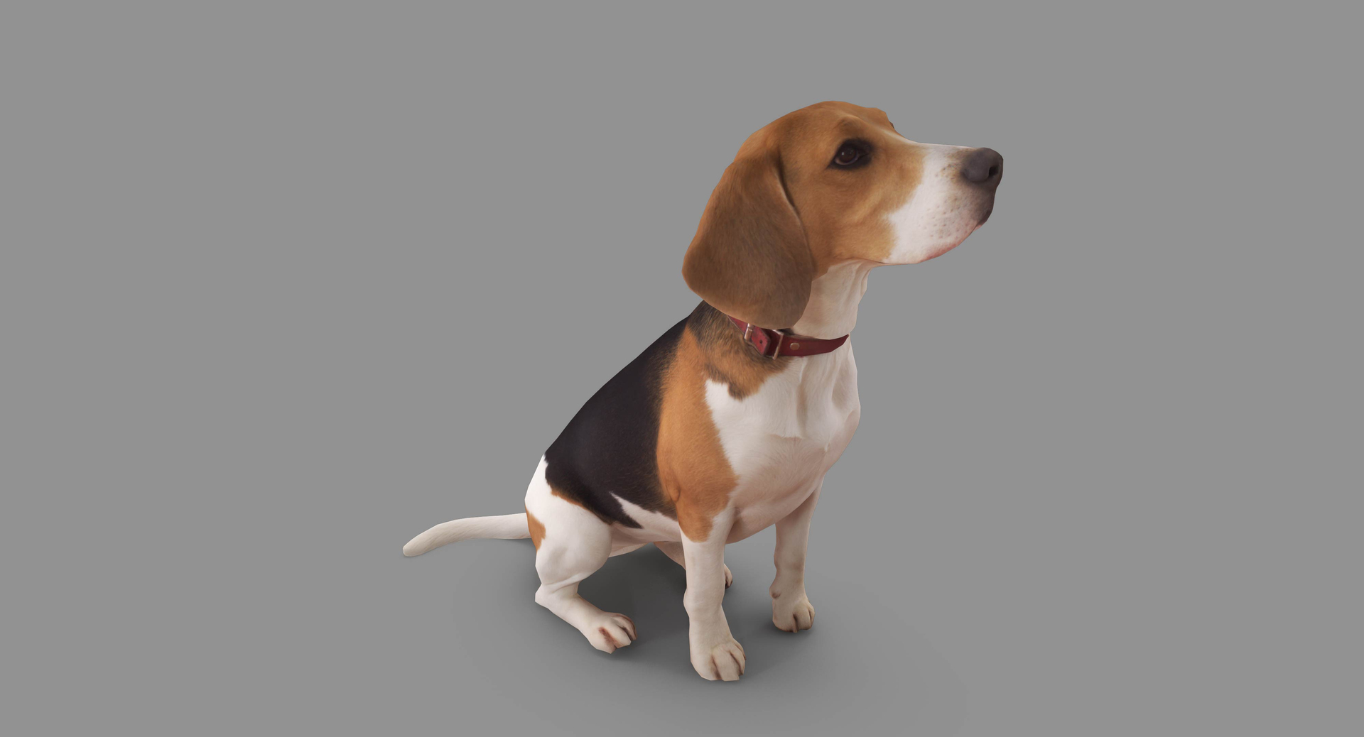3D Dog X4 - TurboSquid 1333945