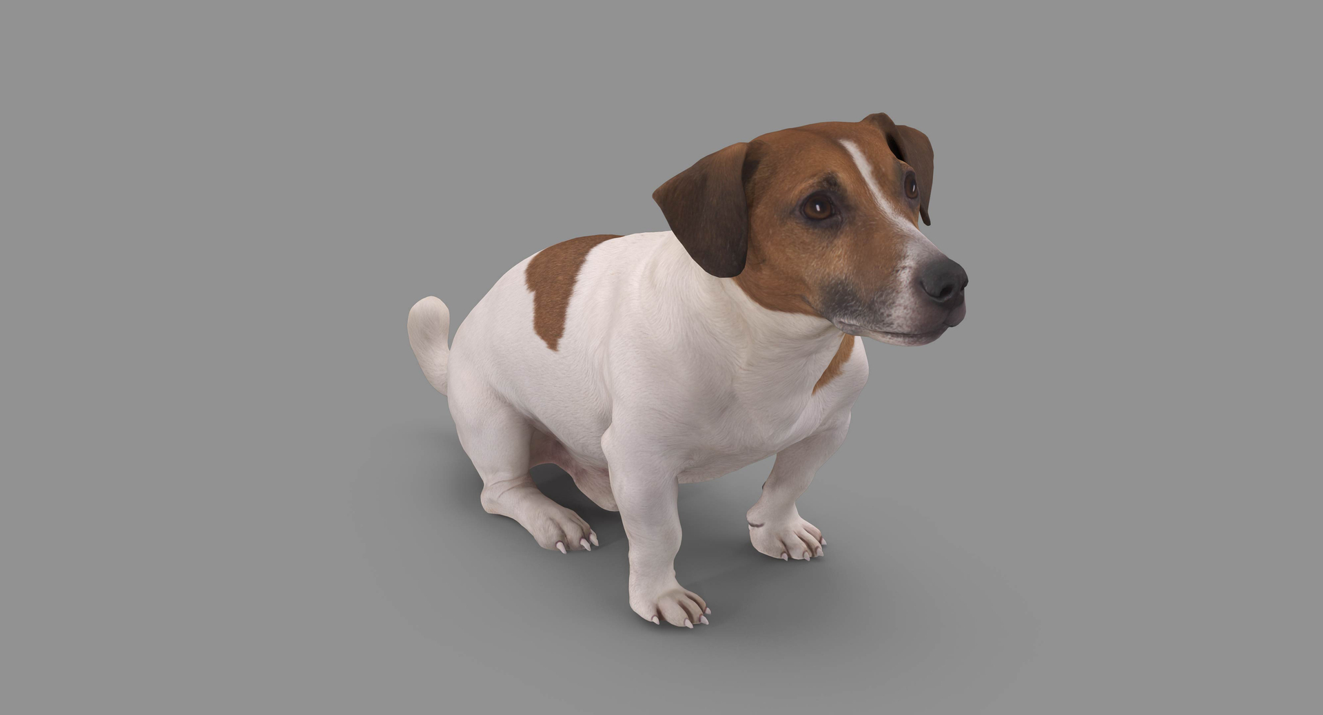 3D Dog X4 - TurboSquid 1333945
