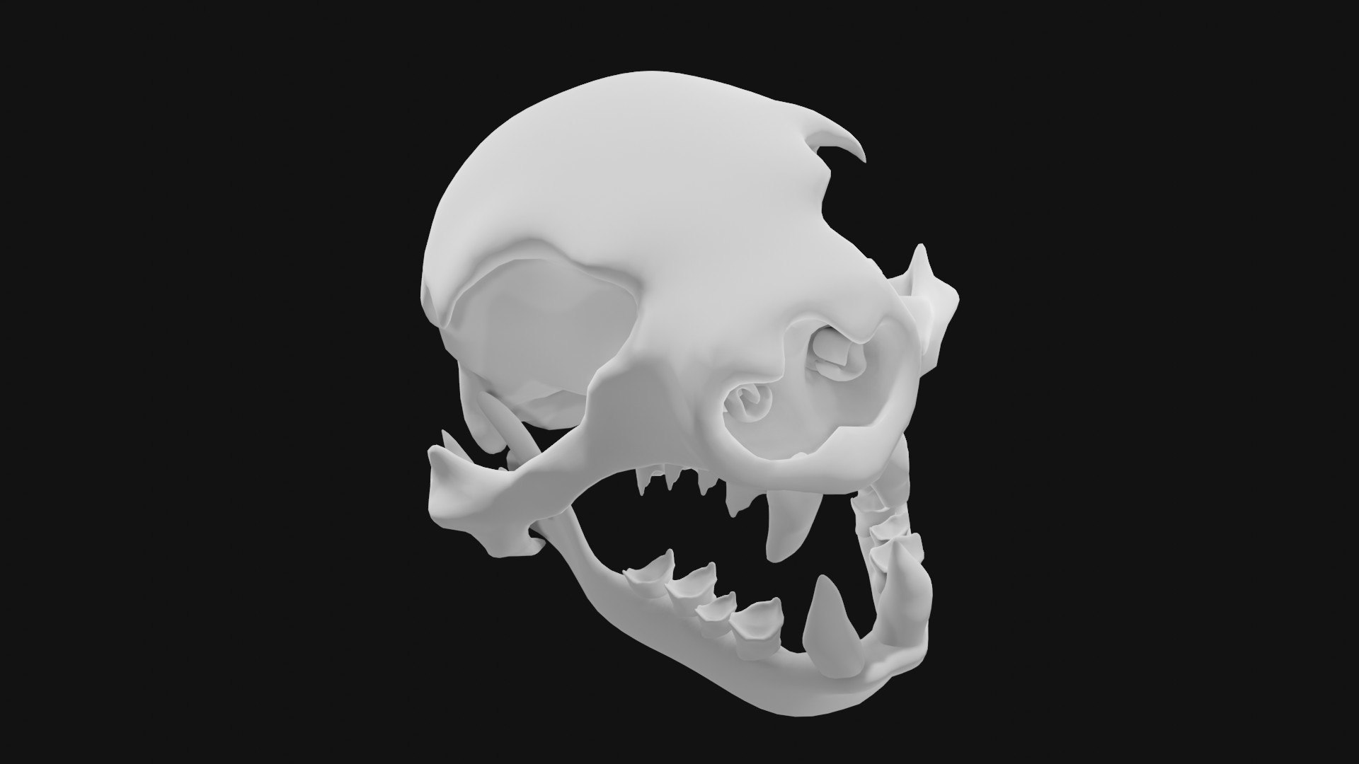 3D Sloth Skull Model - TurboSquid 1991844