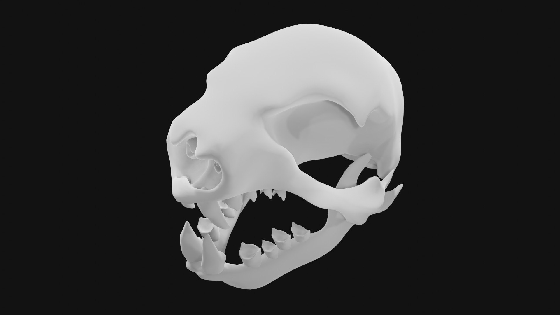 3D Sloth Skull Model - TurboSquid 1991844