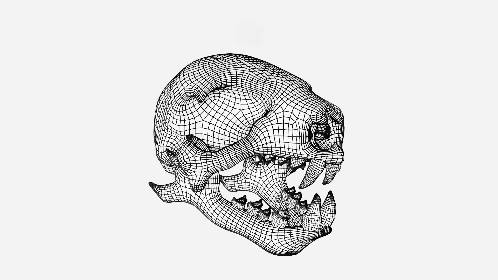 3D Sloth Skull Model - TurboSquid 1991844