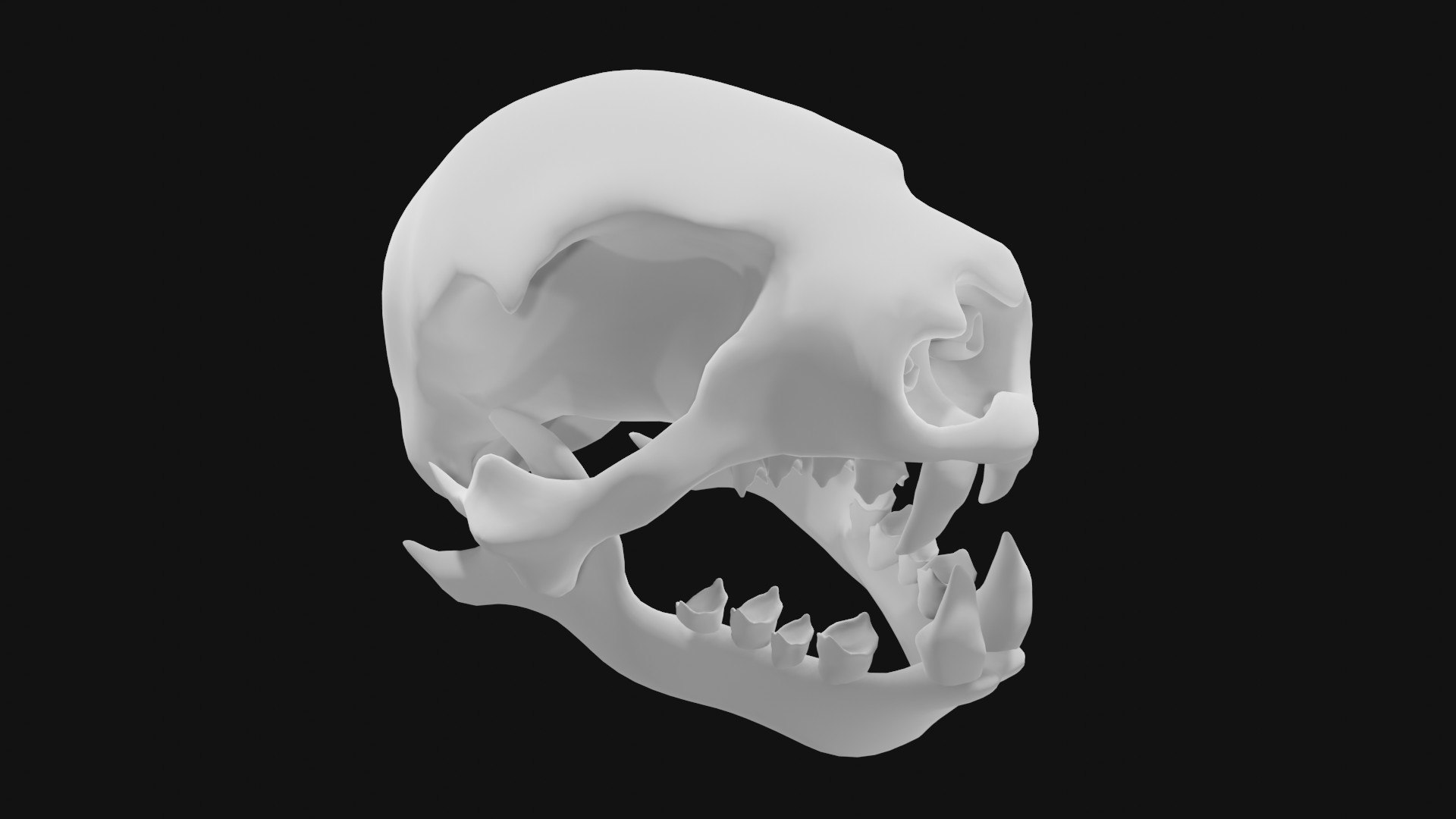 3D Sloth Skull Model - TurboSquid 1991844