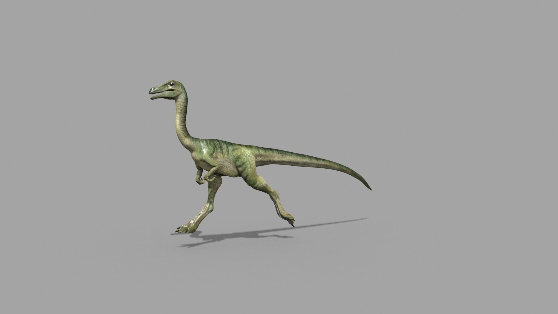 Real Animated Compsognathus - 8K 3D - TurboSquid 2230124