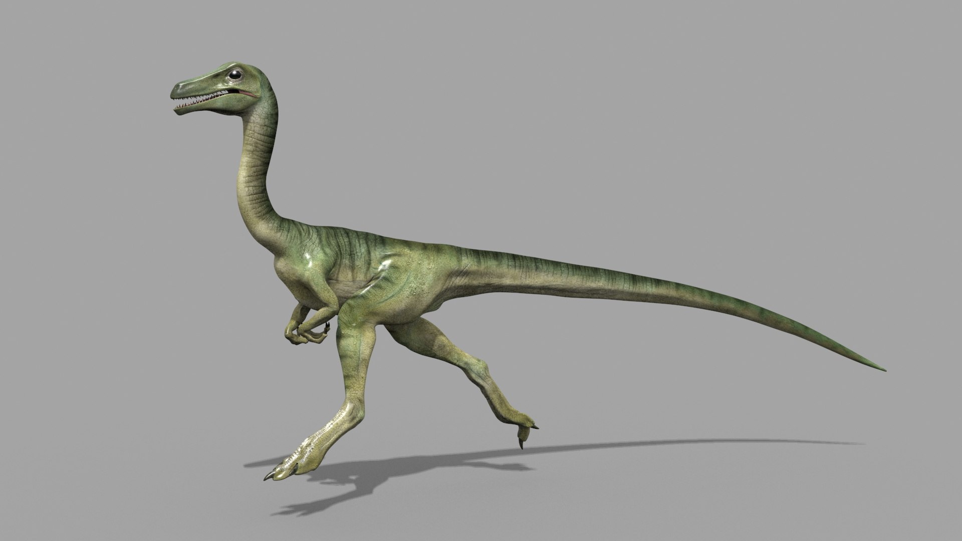 Real Animated Compsognathus - 8K 3D - TurboSquid 2230124