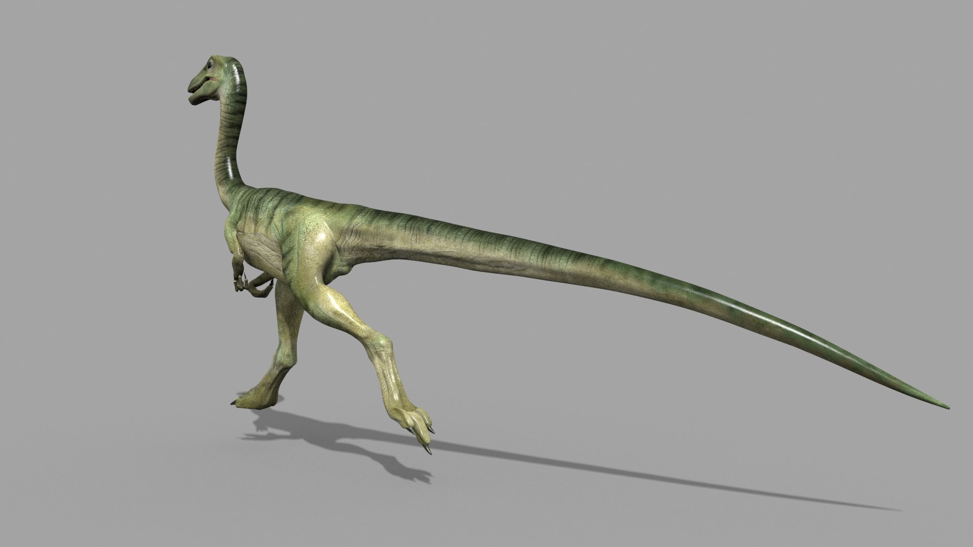 Real Animated Compsognathus - 8K 3D - TurboSquid 2230124