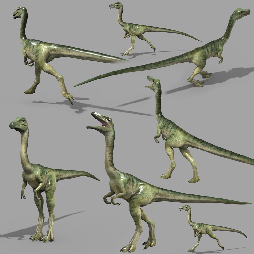 Real Animated Compsognathus - 8K 3D - TurboSquid 2230124