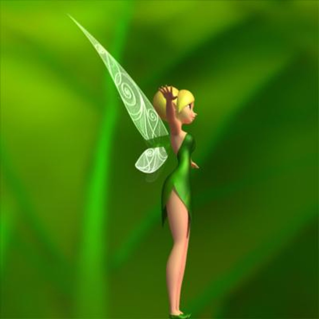 3dsmax Leaves Fairy Case