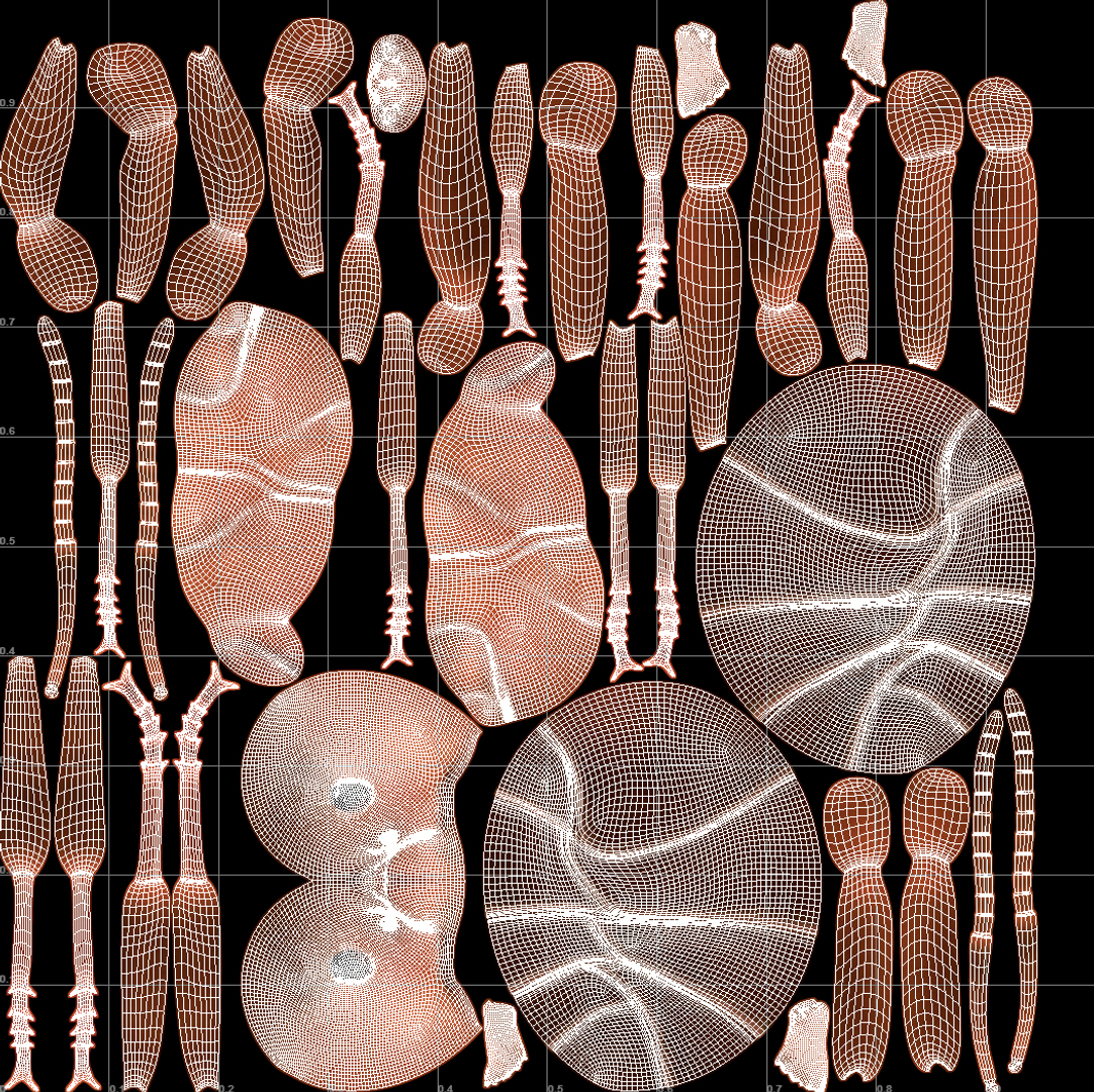 3D модель Ant Realistic - TurboSquid 1028426