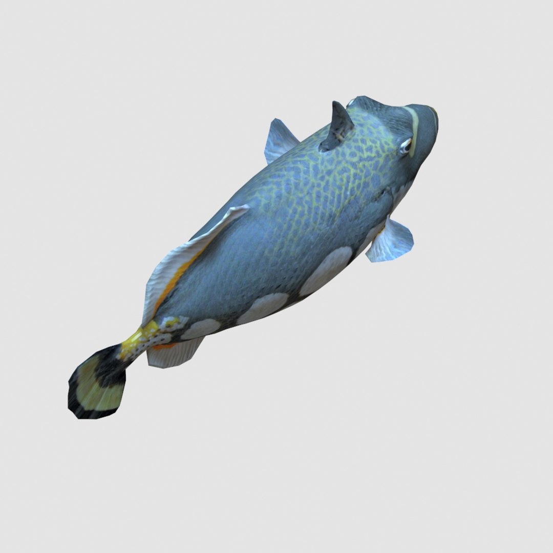 Clown Trigger Fish Rigged Max