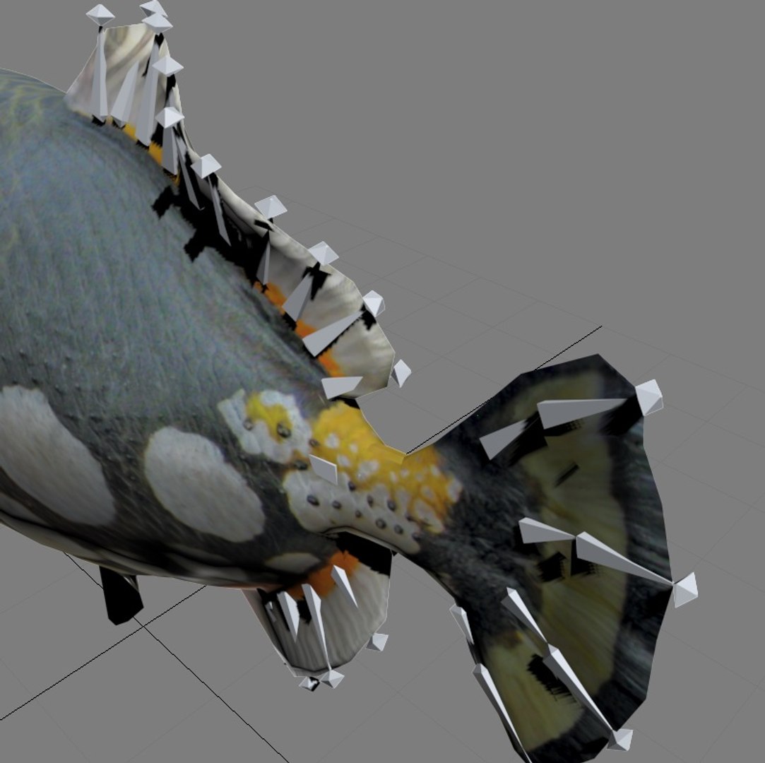 Clown Trigger Fish Rigged Max