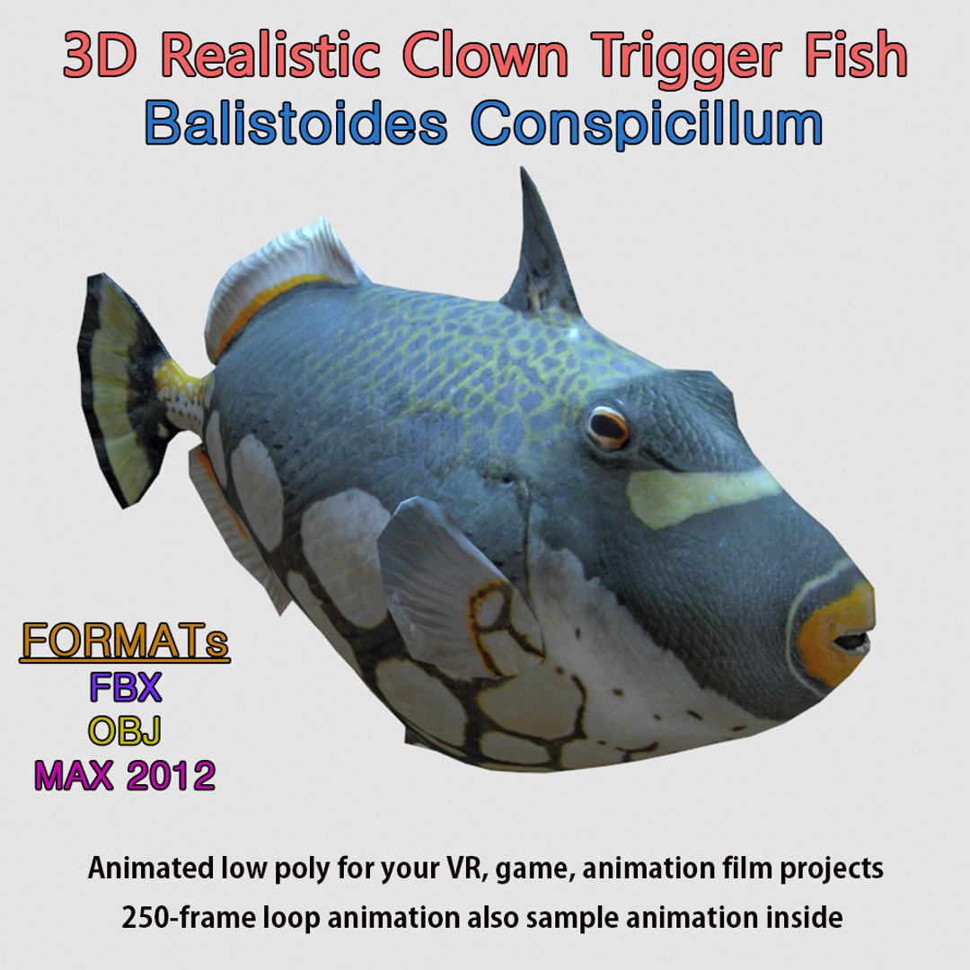 Clown Trigger Fish Rigged Max