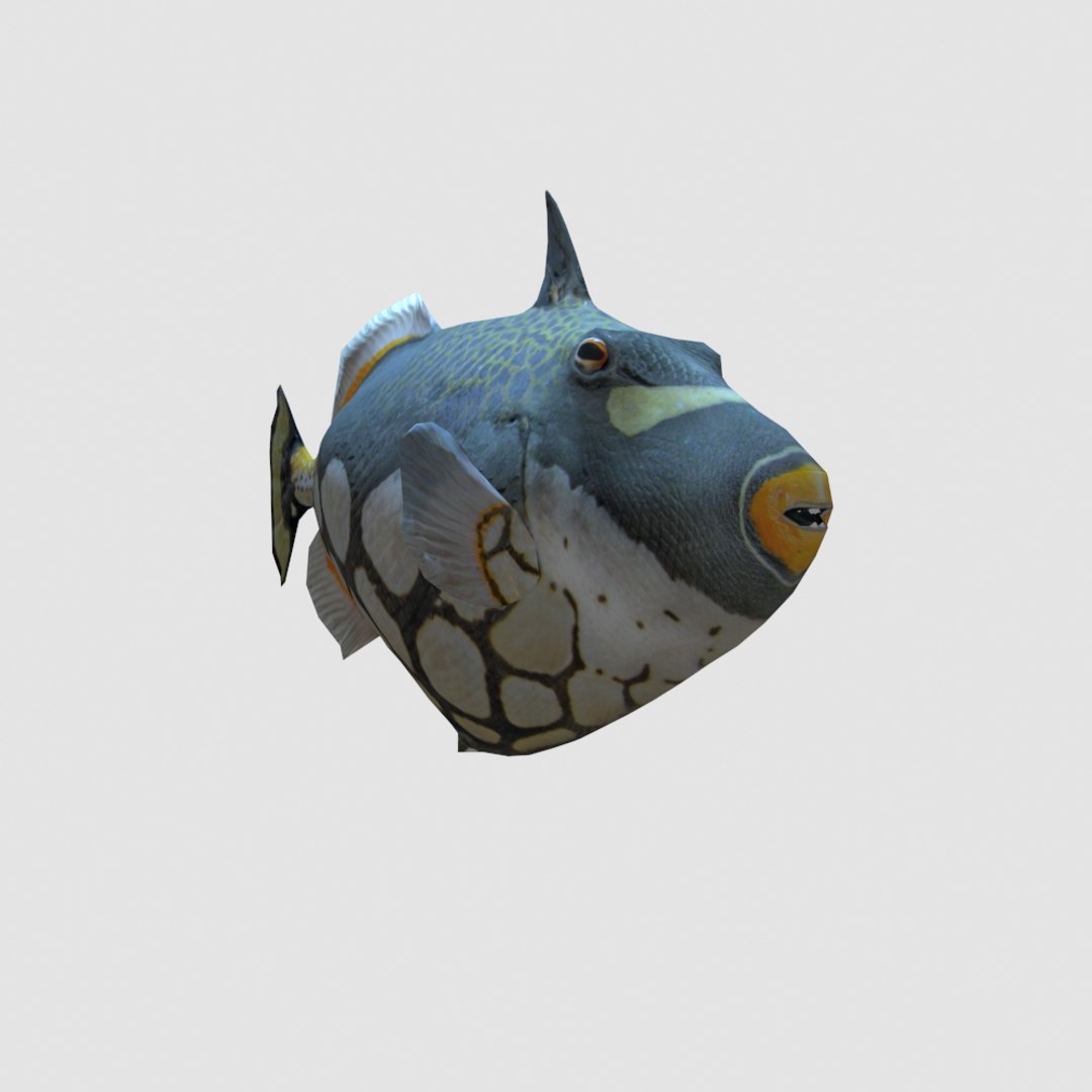 Clown Trigger Fish Rigged Max