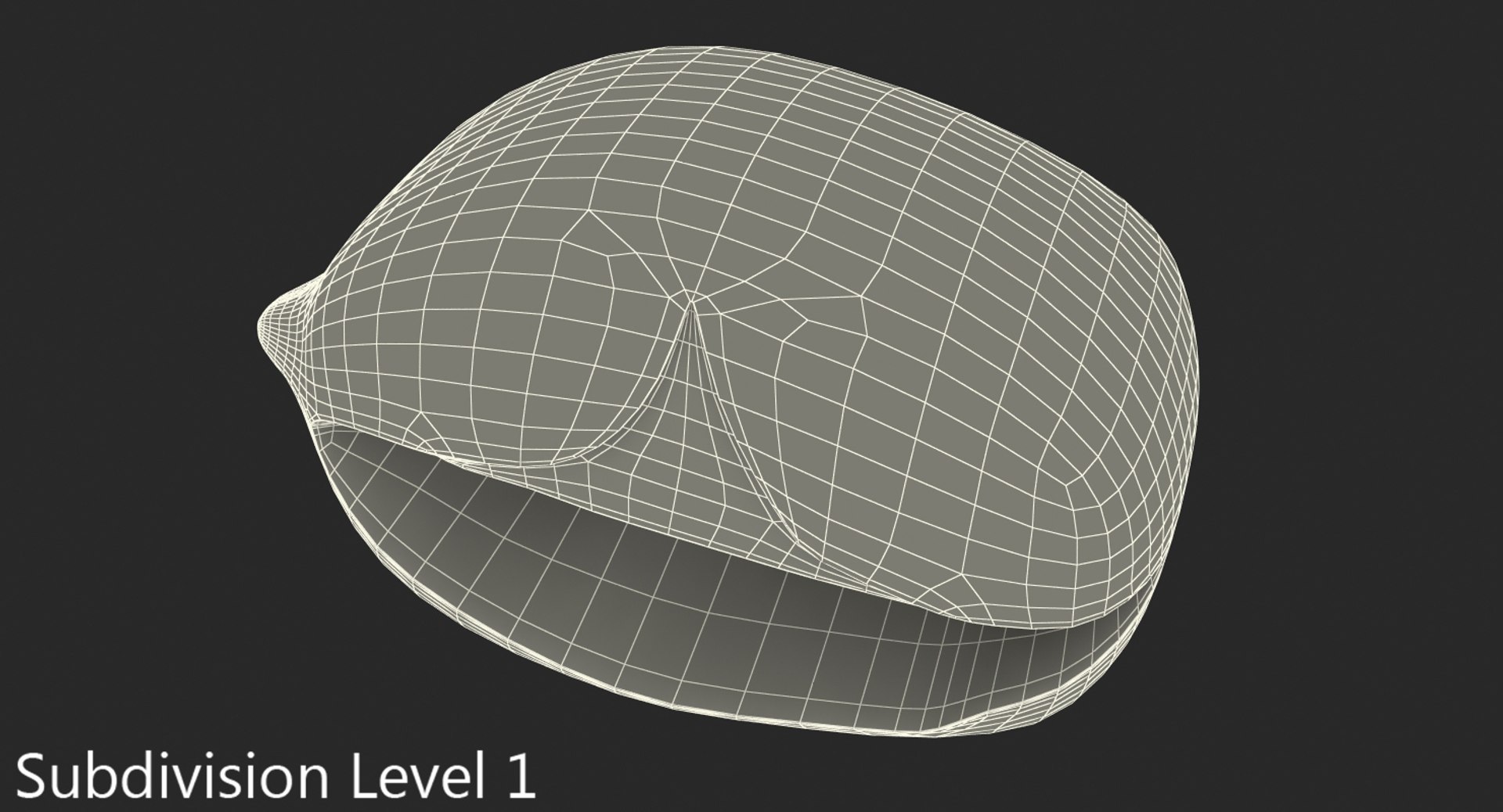 Popcorn Kernel 3d Model