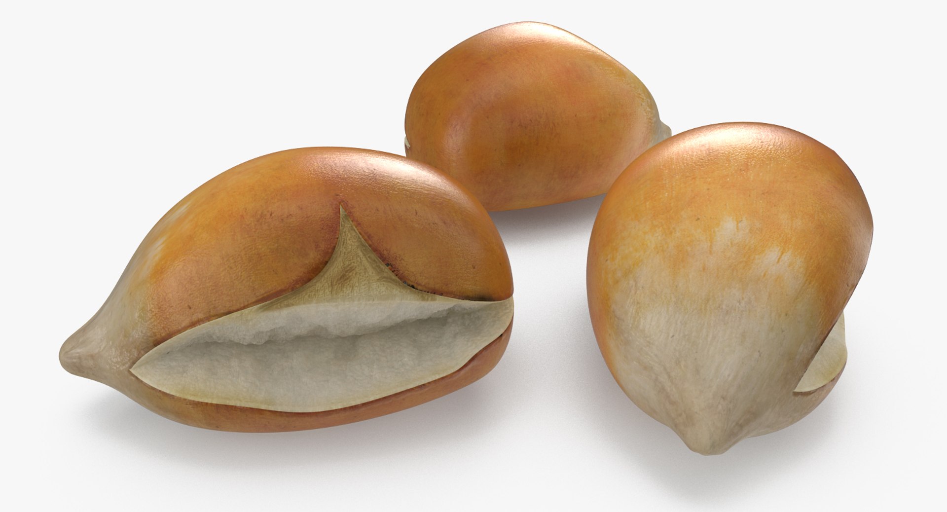 Popcorn Kernel 3d Model