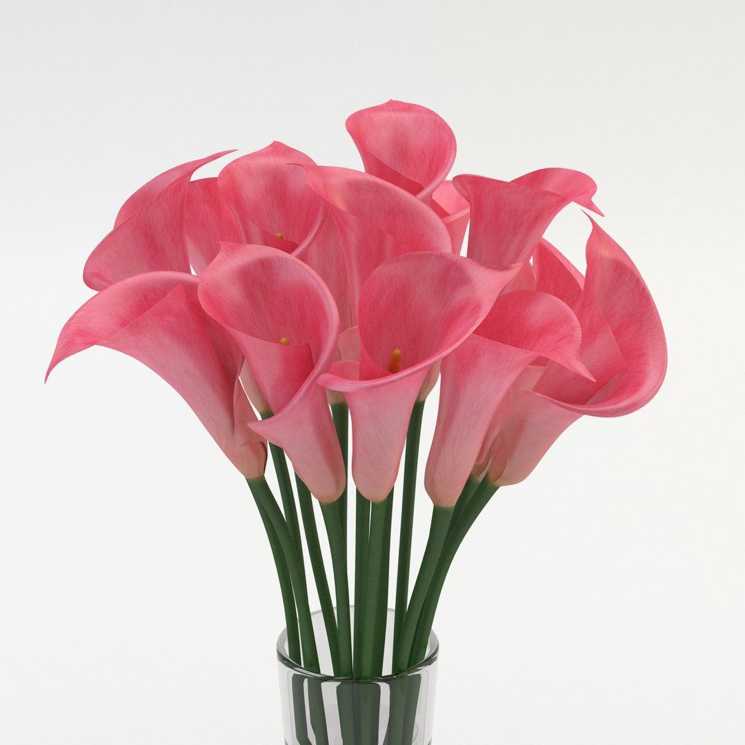 Obj Calla Pink