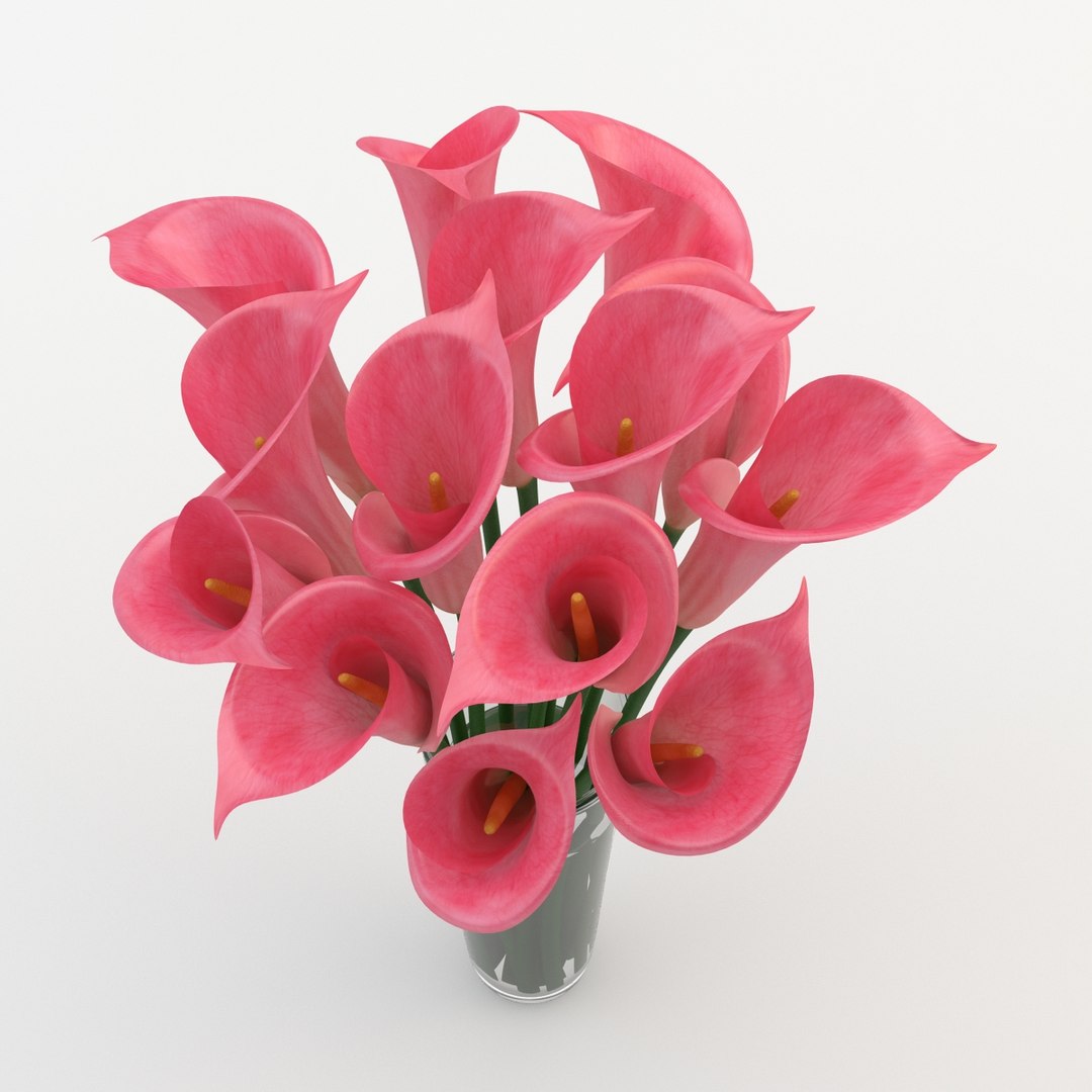 Obj Calla Pink