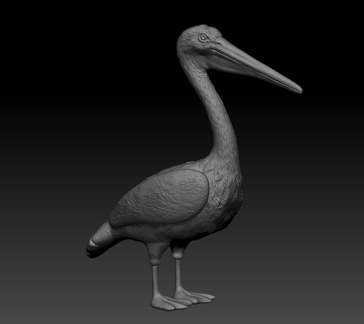 3D Model Pelican Hi - TurboSquid 1466553