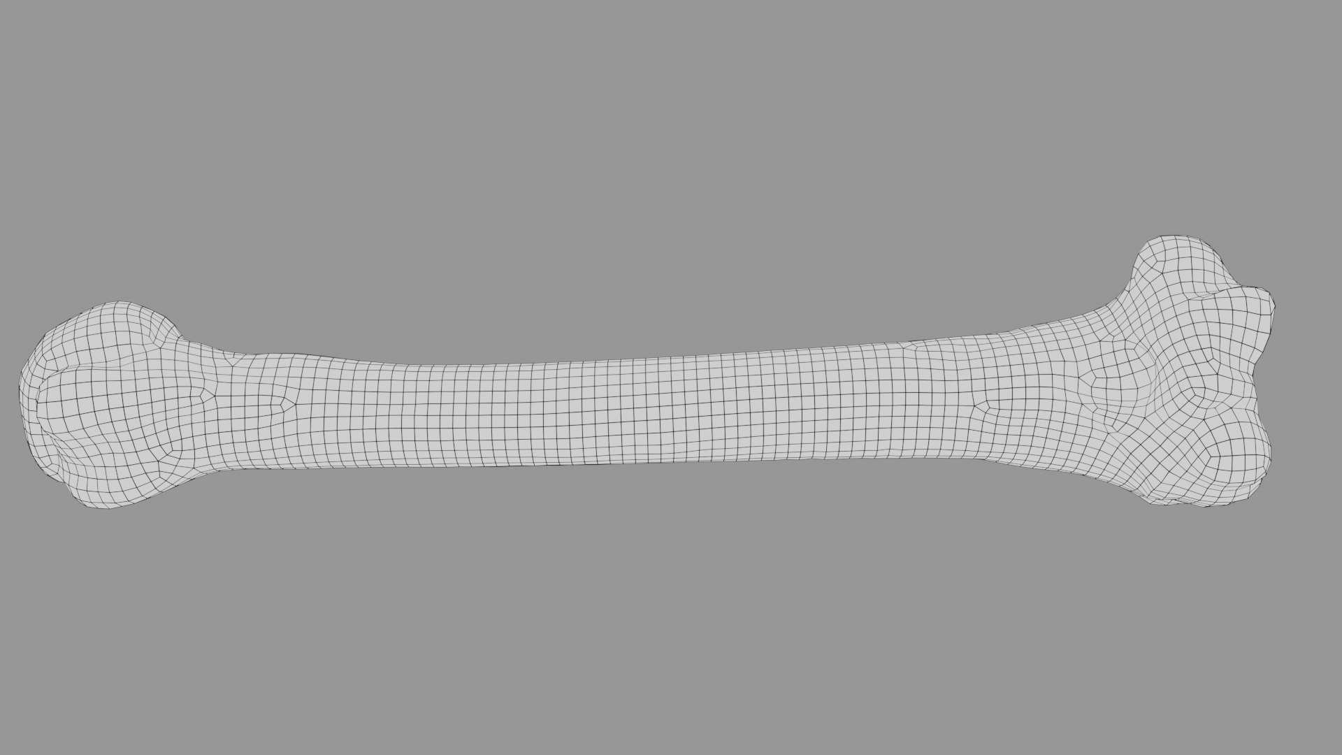 3D Human Bone Humerus Model - TurboSquid 1461485