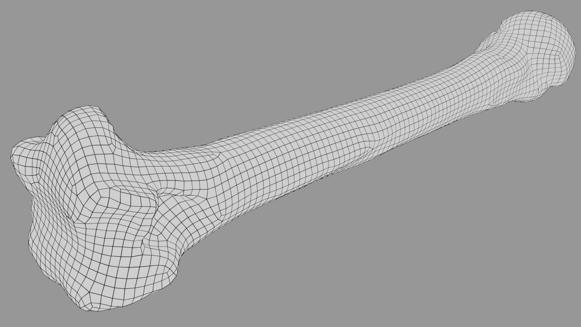 3D Human Bone Humerus Model - TurboSquid 1461485